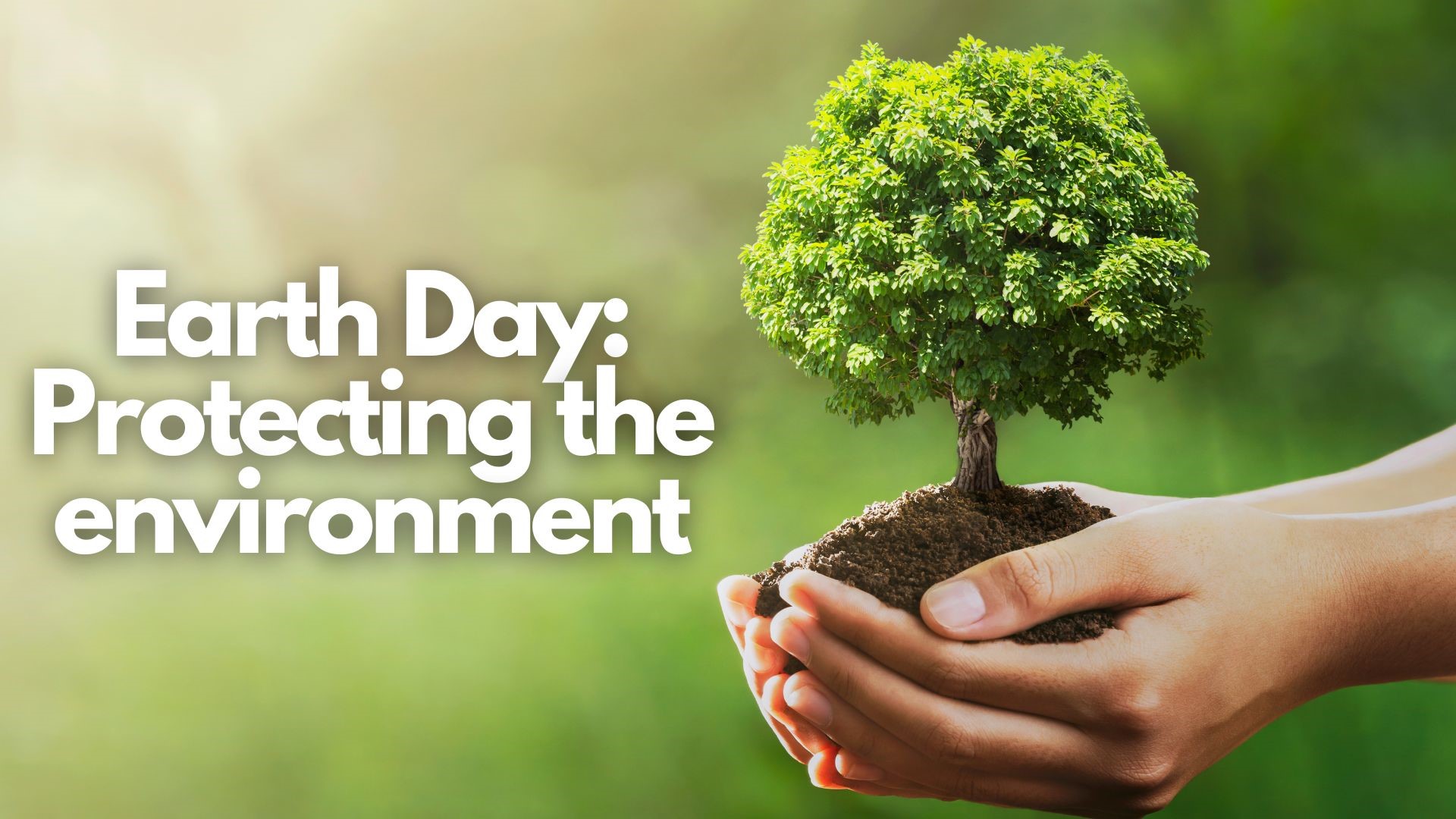 Earth Day: The importance of protecting the environment | wcnc.com