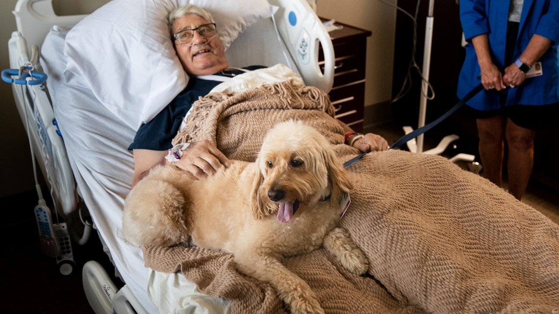 Therapy dogs help cheer up patients, staff in Nashville Hospital | wcnc.com
