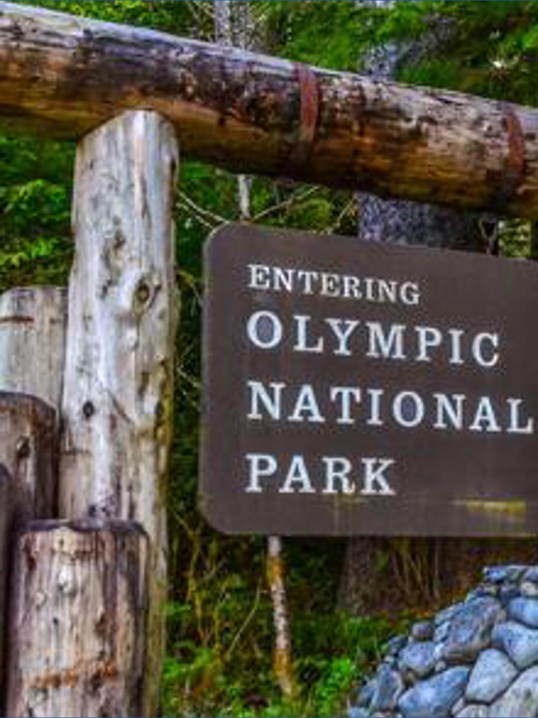 Human remains found in Olympic National Park identified after nearly 30 ...