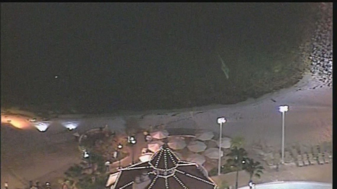 Sheriff: No sign of toddler snatched by gator, Disney closes all resort ...