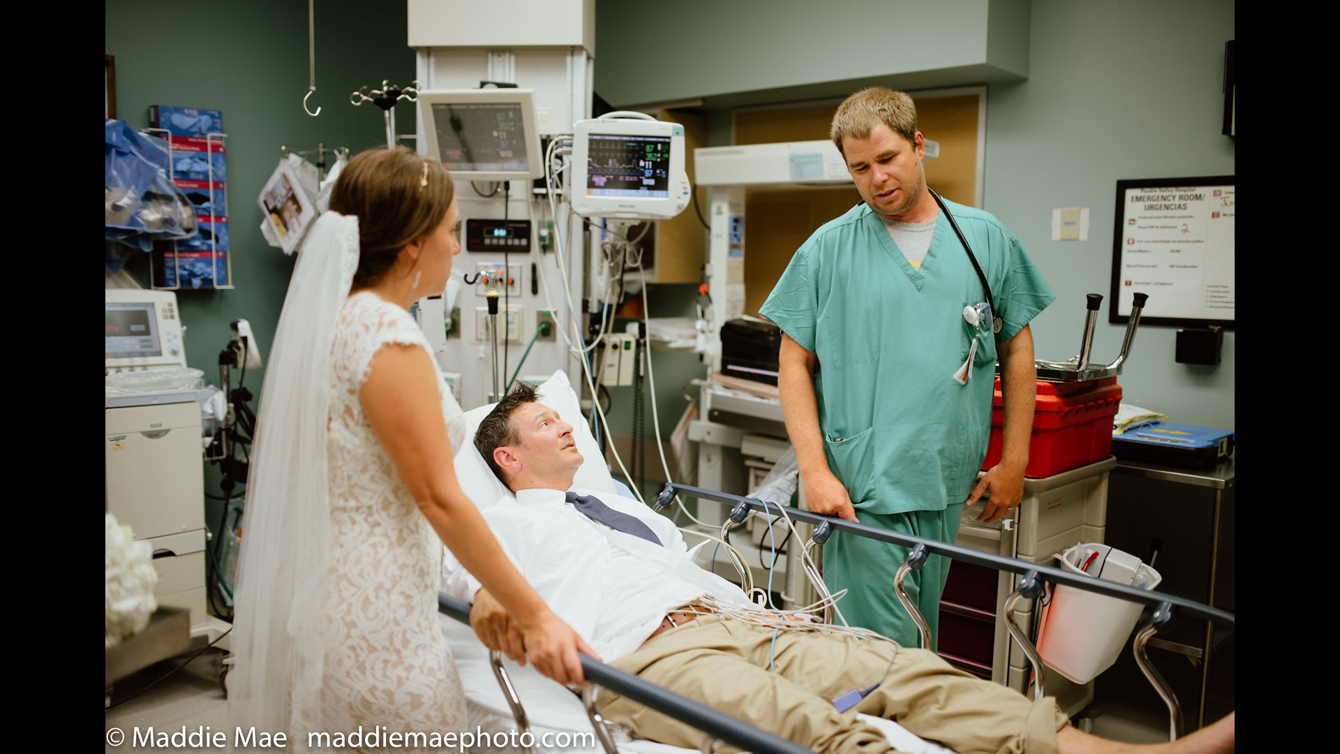 Wedding photographer captures aftermath of Fort Collins groom bit by ...