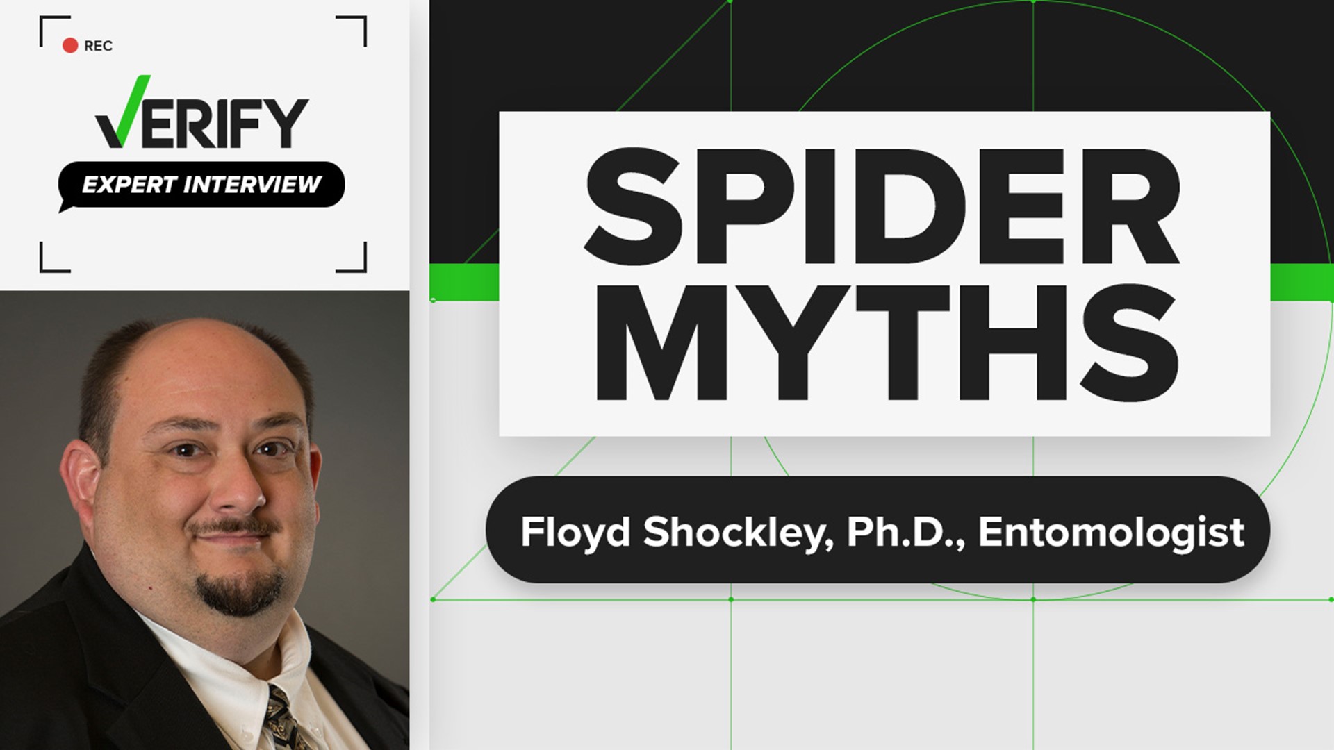 Do people swallow spiders in their sleep? | Expert Interview with Floyd ...