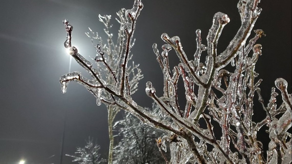 Why ice on trees can cause power outages | wcnc.com