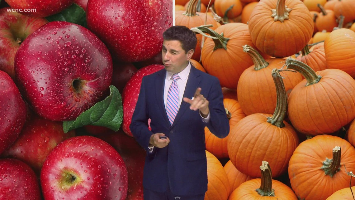 What weather creates the perfect pumpkin and apple crop | wcnc.com