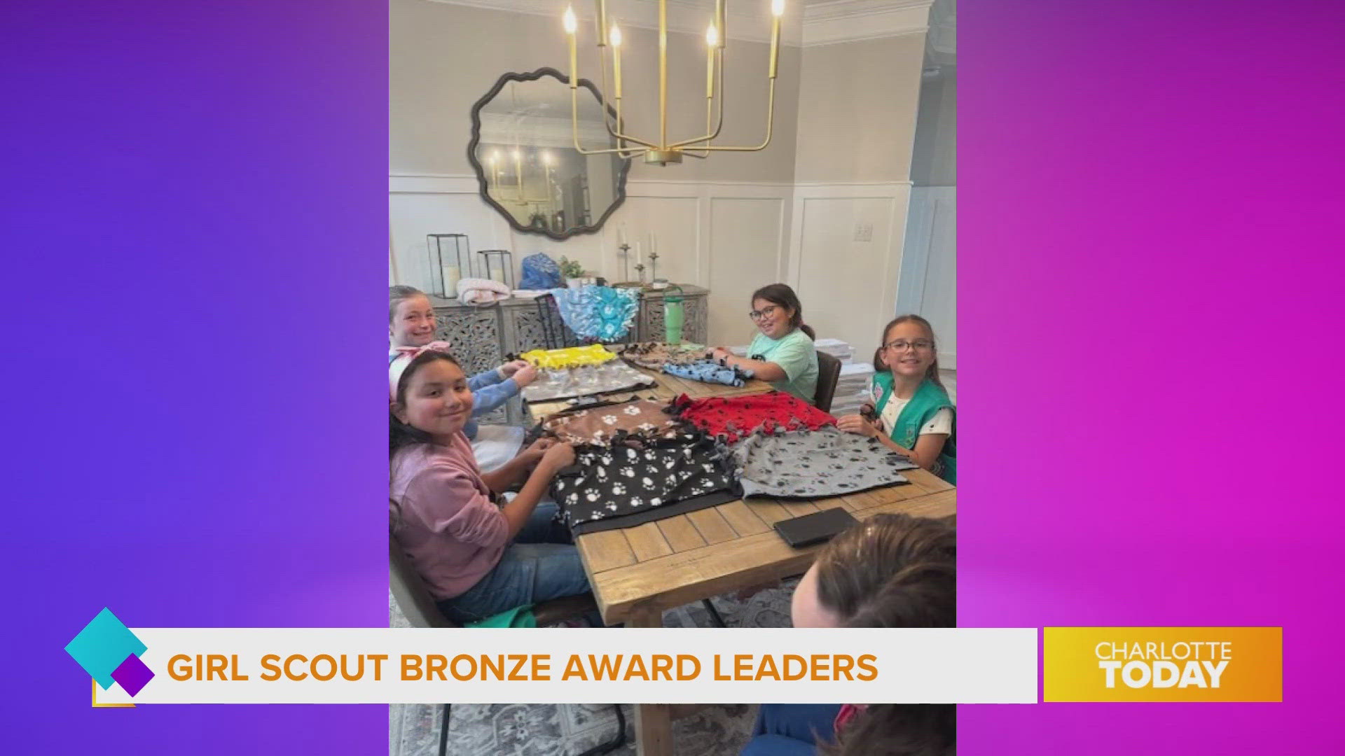 Girl Scout Troop 2997 Shines with Bronze Award Projects & Community ...