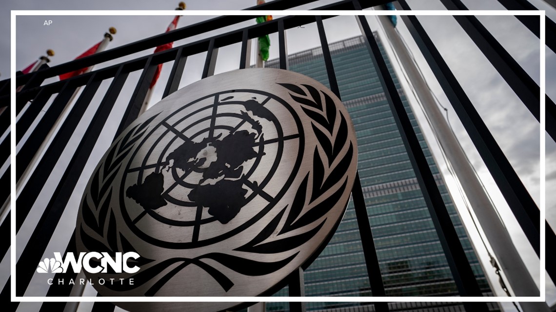 UN adopts resolution backing efforts to ensure artificial intelligence is safe | wcnc.com