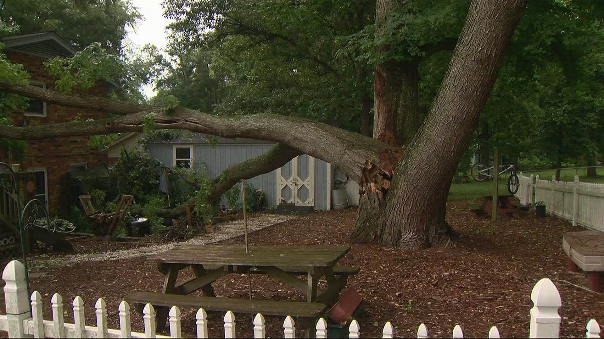 Strong storms pummel Charlotte area, down trees and power lines | wcnc.com