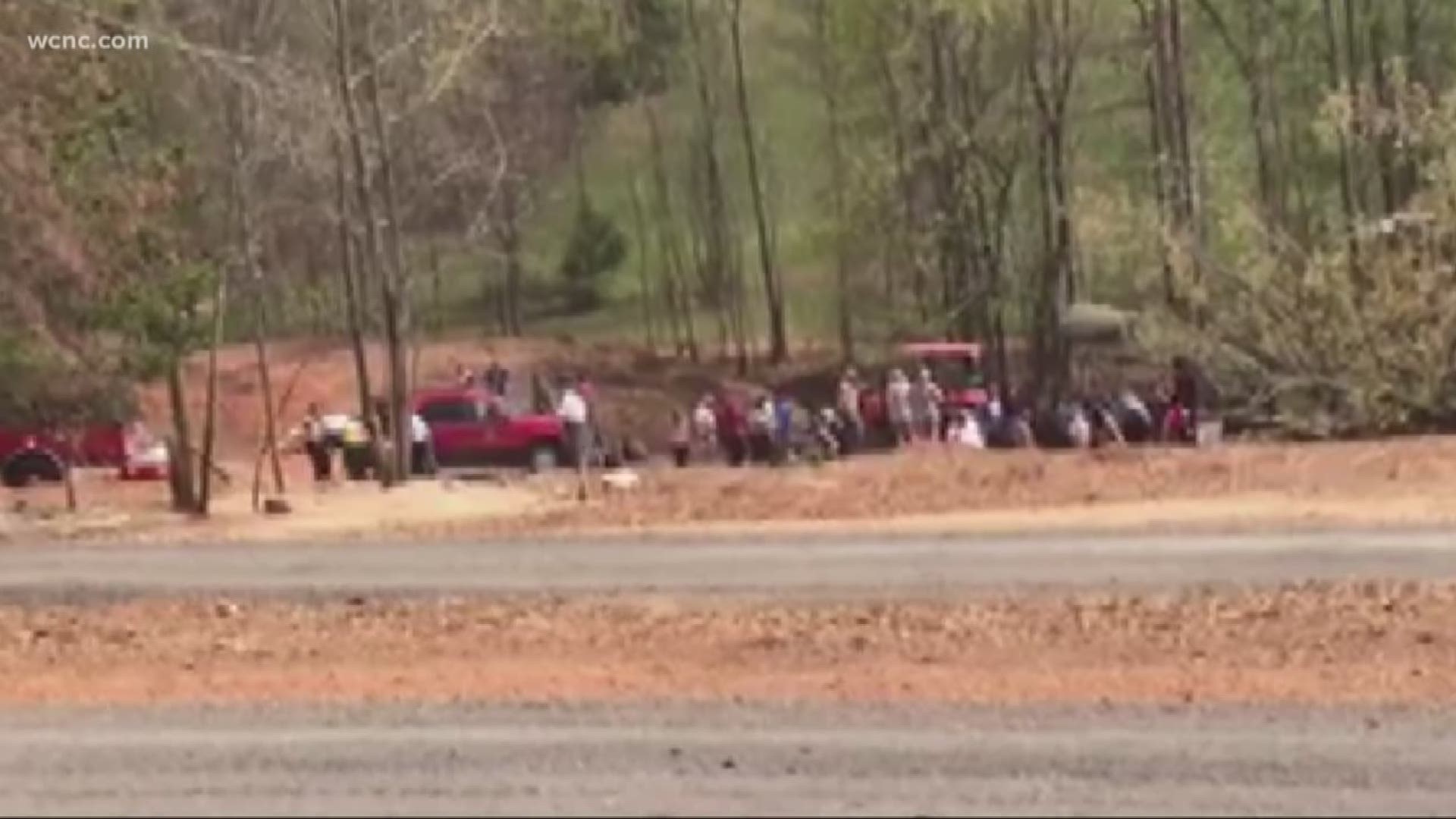 At least 5 hurt after tree falls on wagon at Zootastic Park | wcnc.com