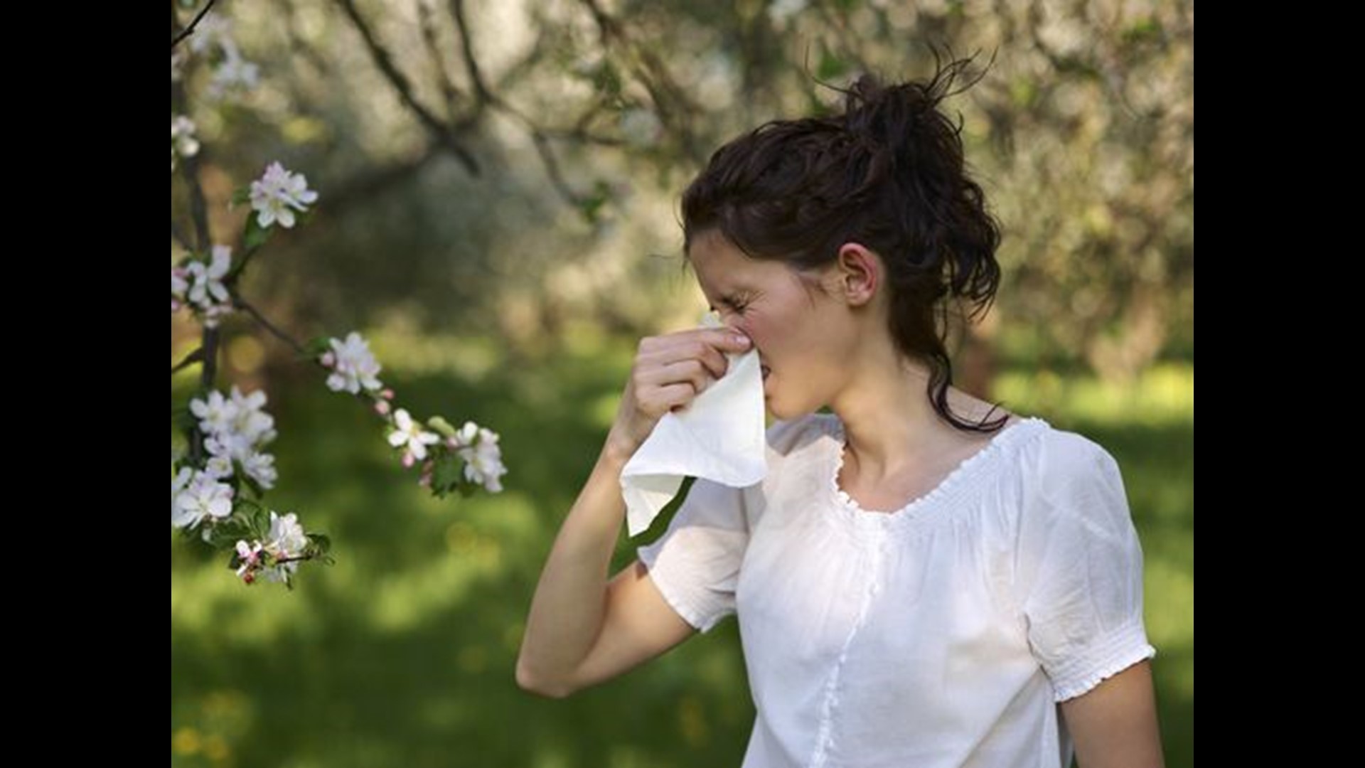 Allergy season: What you can do now to fight back | wcnc.com