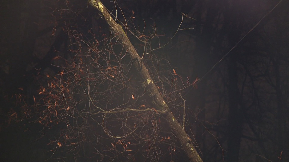 Large tree falls on power lines in west Charlotte | wcnc.com