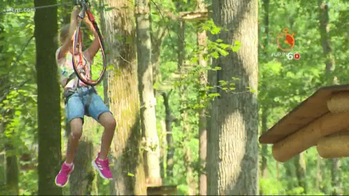 Up in 60: Carolina Treetop Challenge lets you fly high through the ...
