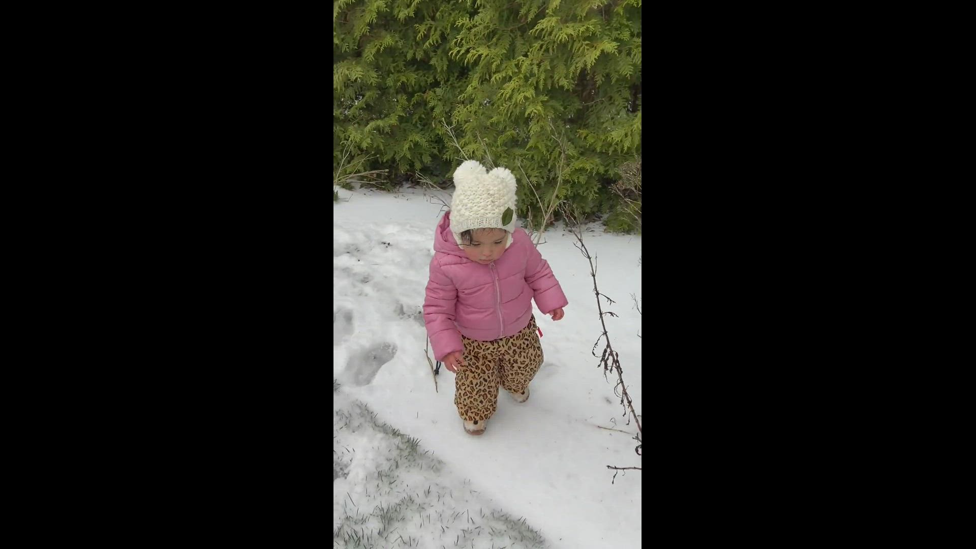 Kid in the snow | wcnc.com