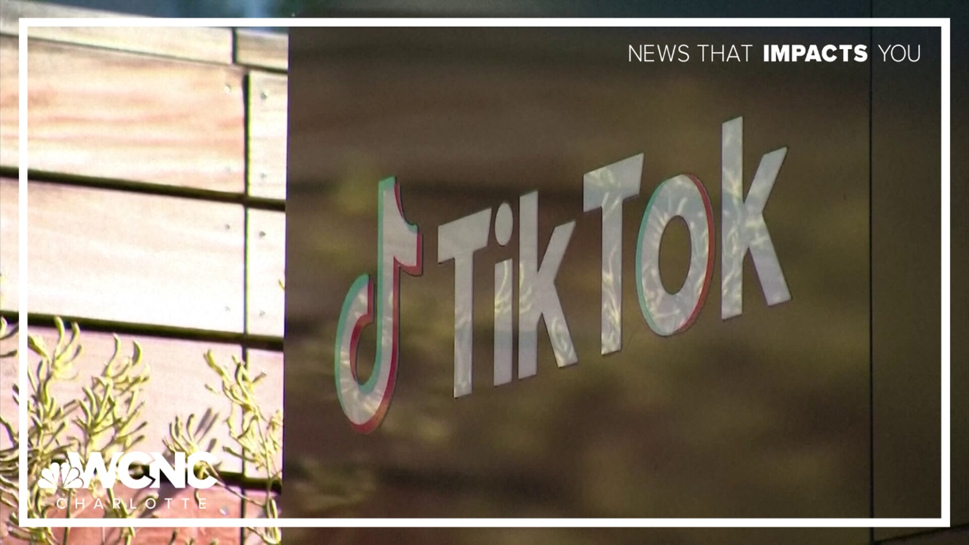 Oracle gets TikTok's US algorithm control | wcnc.com