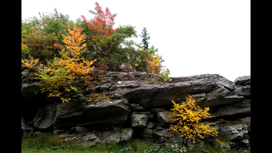 When is peak fall color in North Carolina? | wcnc.com