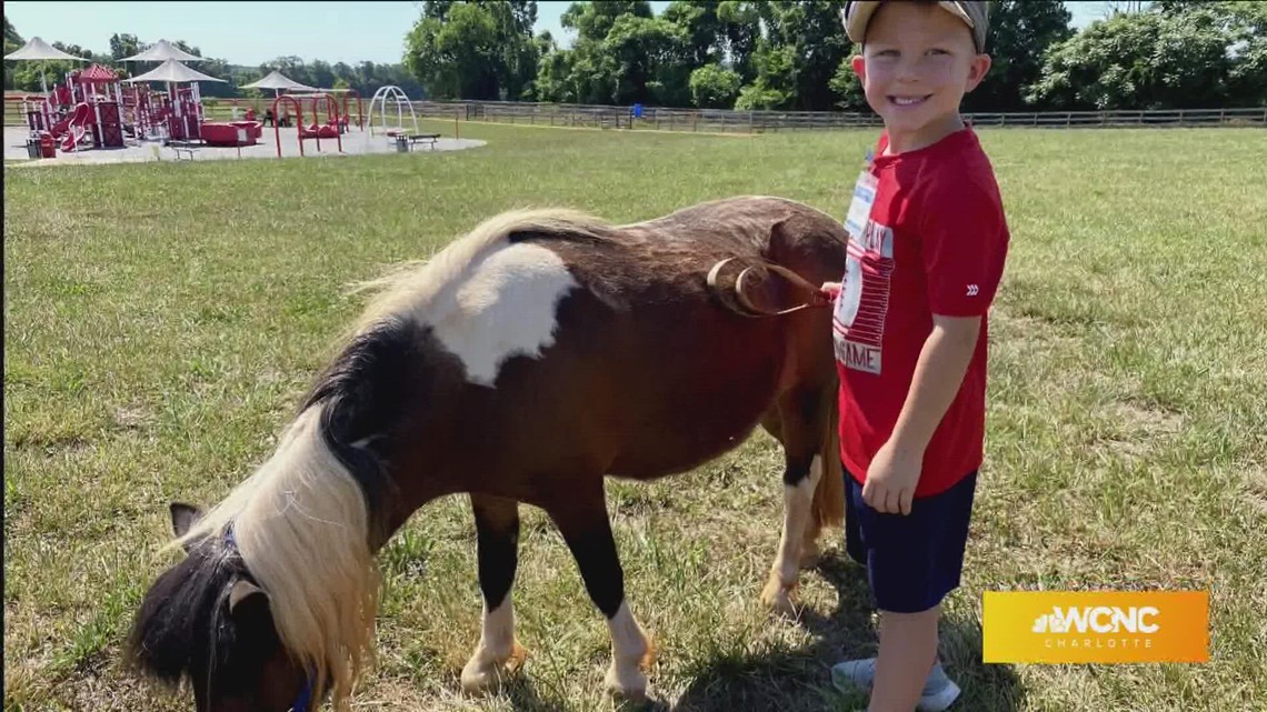 Outdoor Explorers Day at Rescue Ranch is Friday, November 11th | wcnc.com