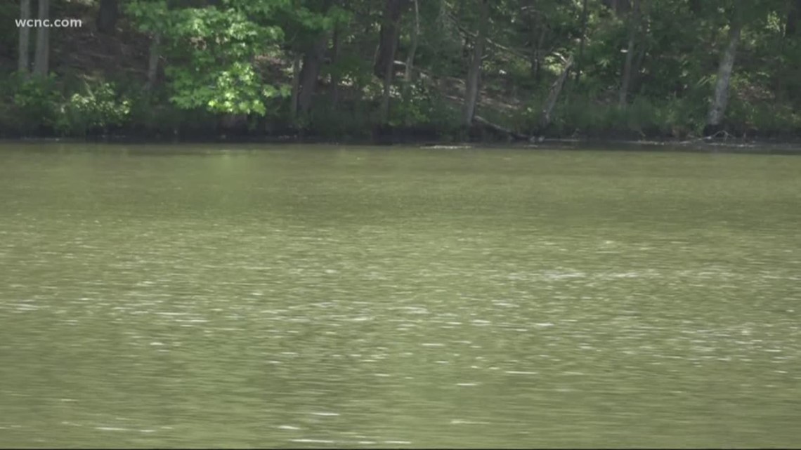Stinky water concerns in several cities; algae bloom being blamed ...
