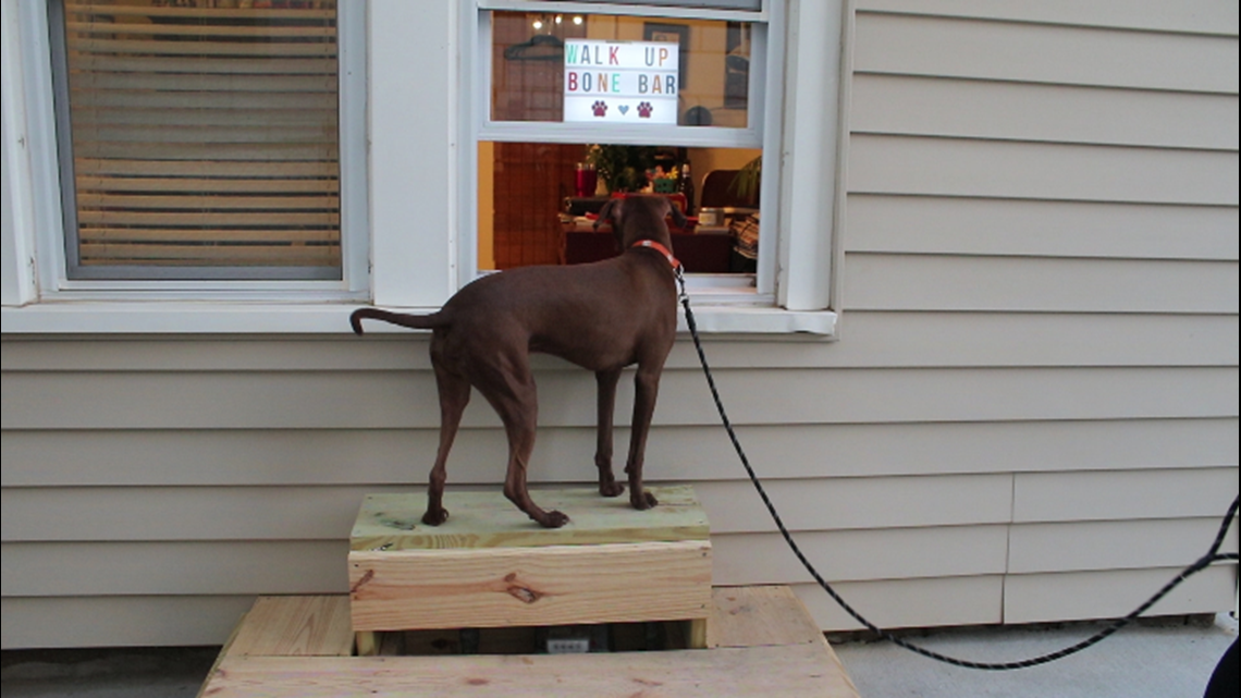 The cutest thing you'll ever see | Dogs in Dilworth belly up to 'Bone ...
