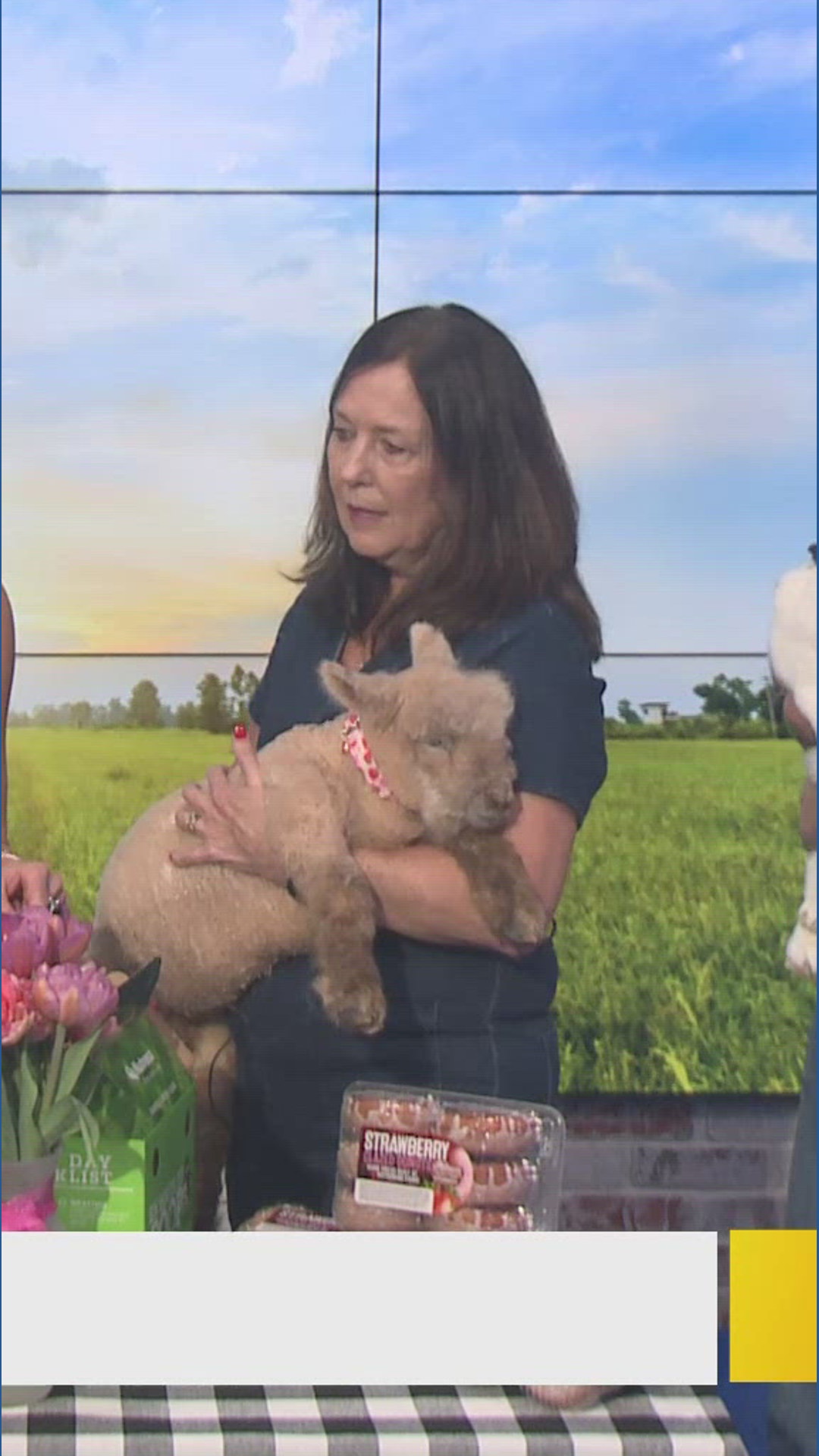 Patterson Family Farm welcomes spring with festivals and fresh picks ...