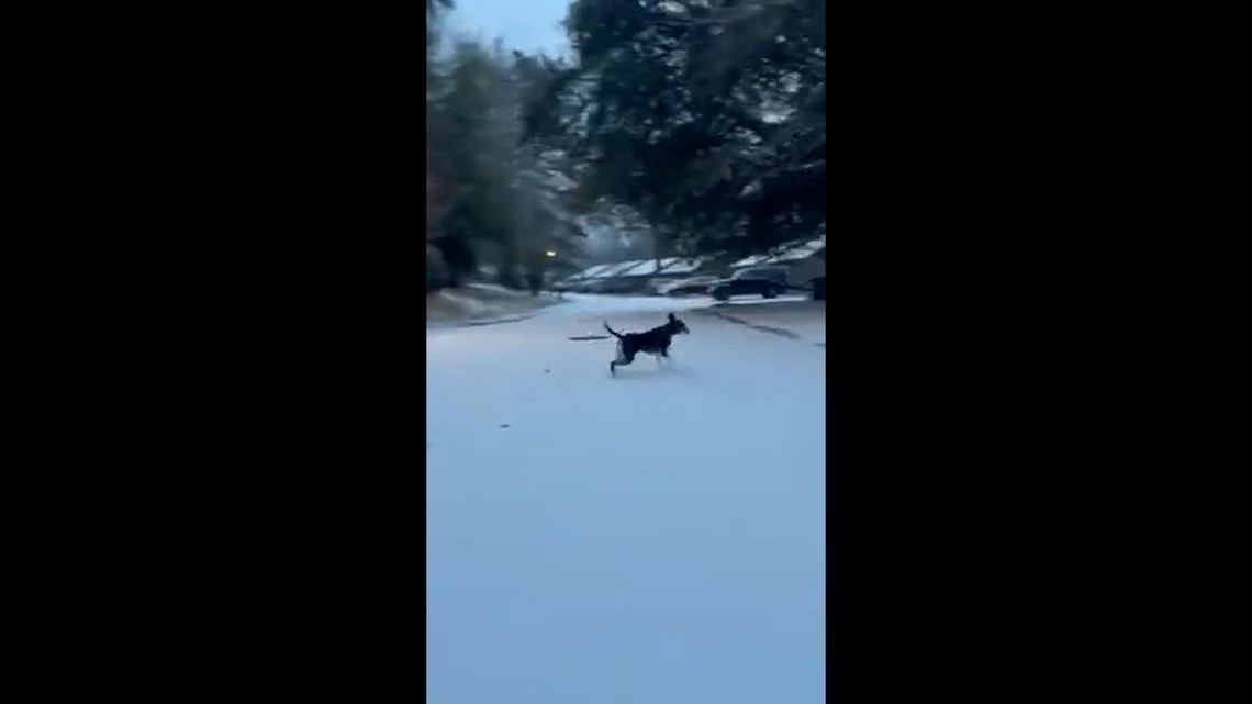 Sally May is enjoying the ice storm | wcnc.com