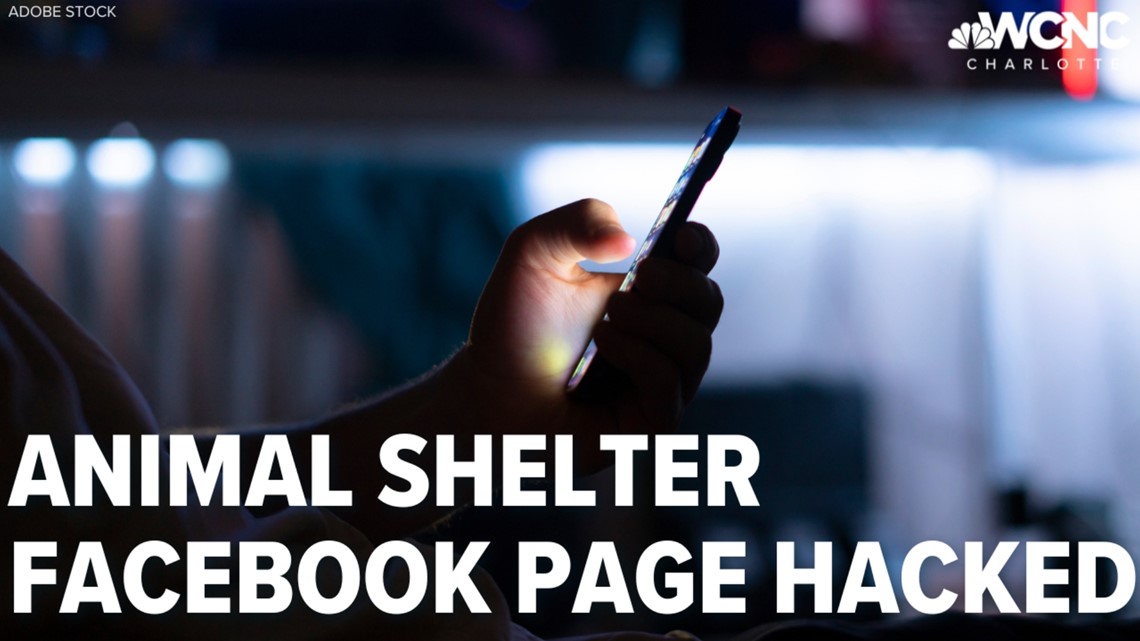 CMPD Animal Care and Control's old Facebook page still hacked | wcnc.com