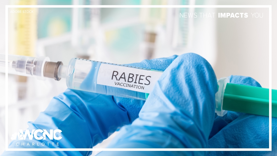 Second case of rabies reported in Lincoln County this year | wcnc.com