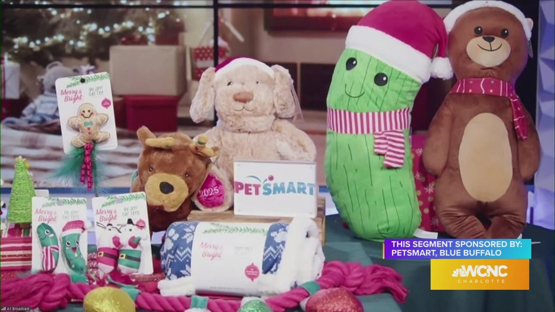 Great Holiday Gift Options For Your Pets - sponsored by PetSmart, Blue ...