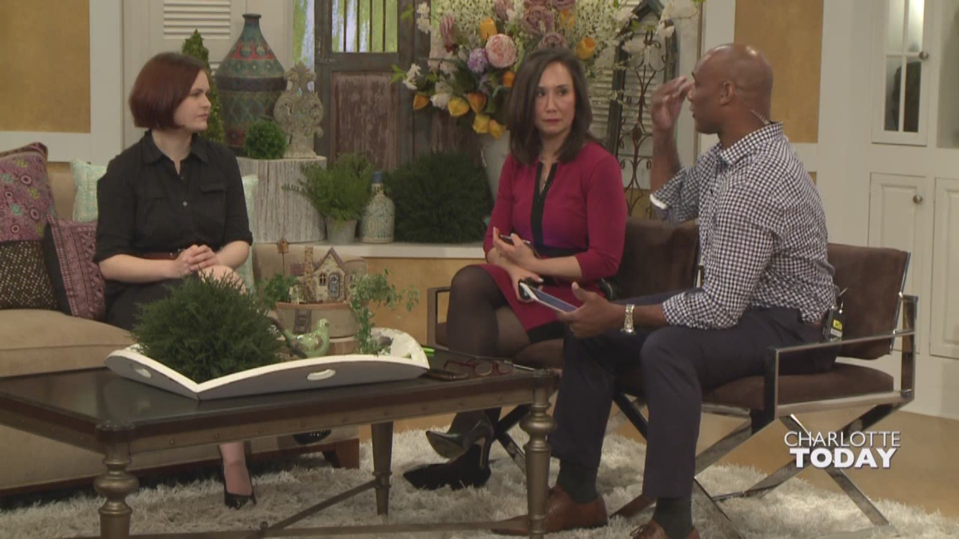 Learn more about the tiny house festival | wcnc.com