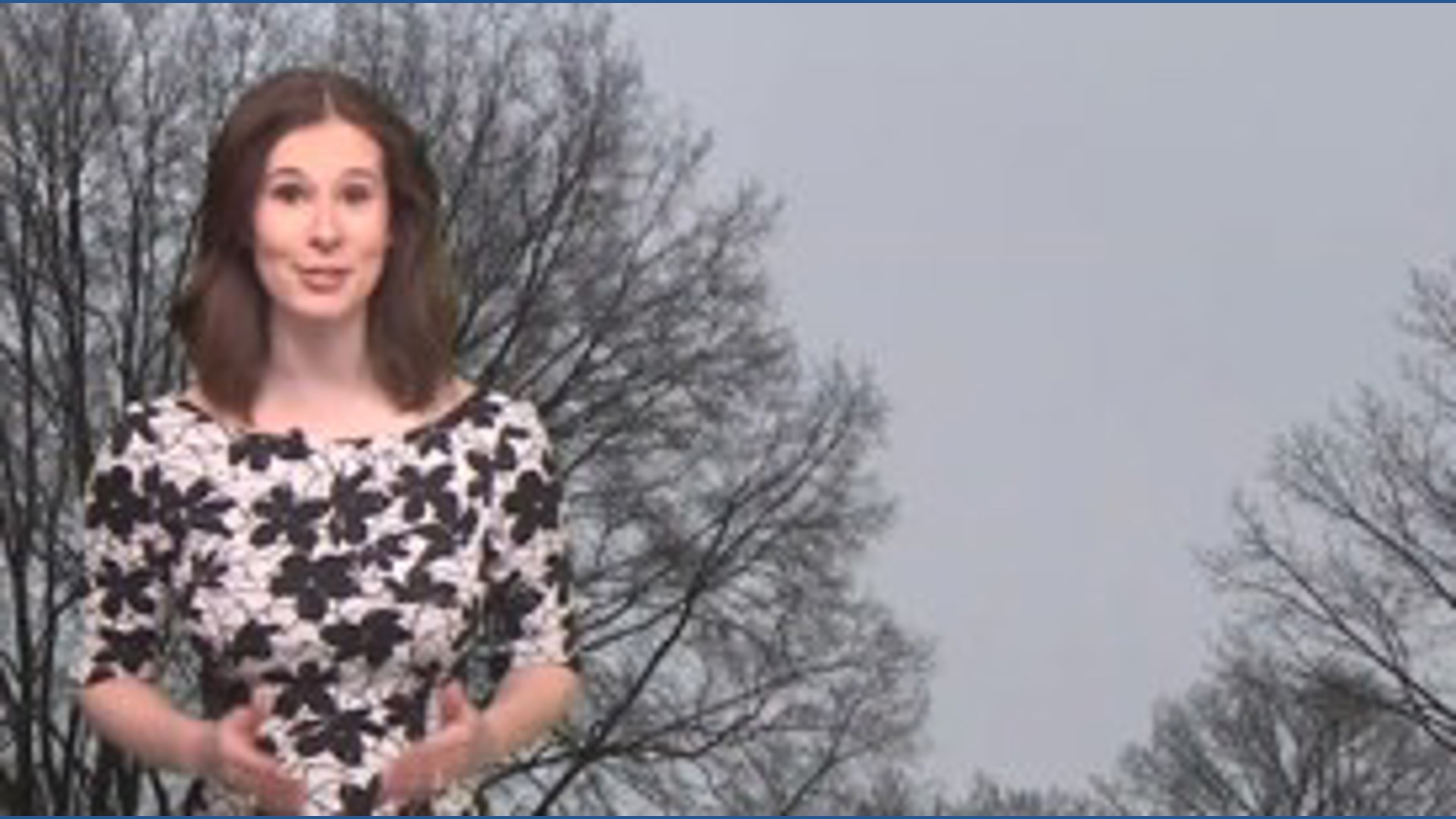 Do trees really explode in the cold? | wcnc.com