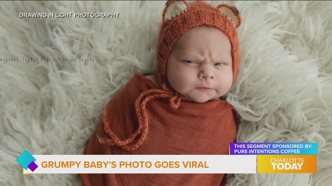 A grumpy but adorable Mid-Day Pick Me Up, sponsored by Pure Intentions ...