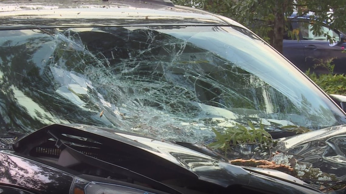 Large tree branch falls on car with mom and two kids inside | wcnc.com