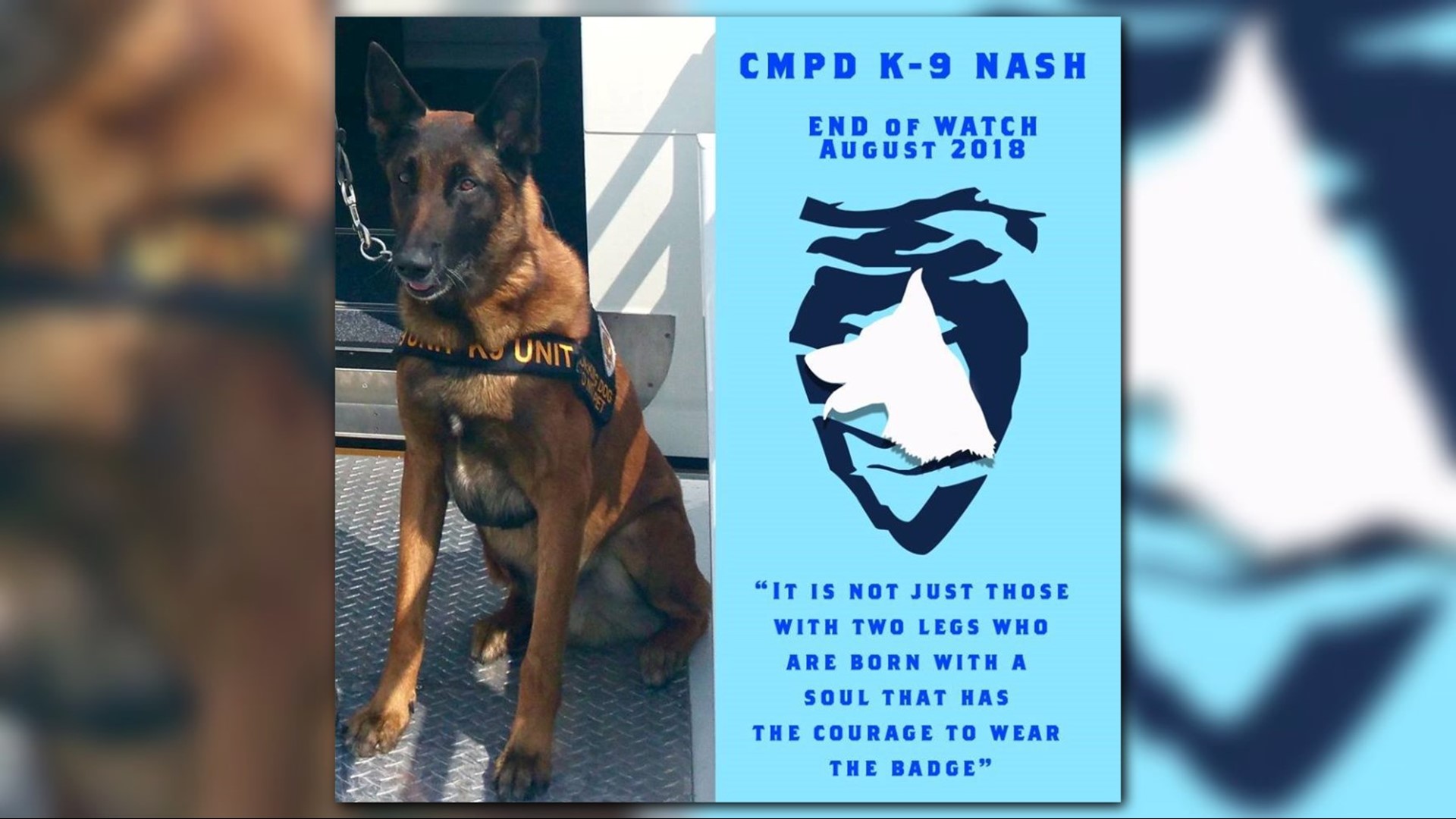CMPD: K9 dies after battle with cancer | wcnc.com