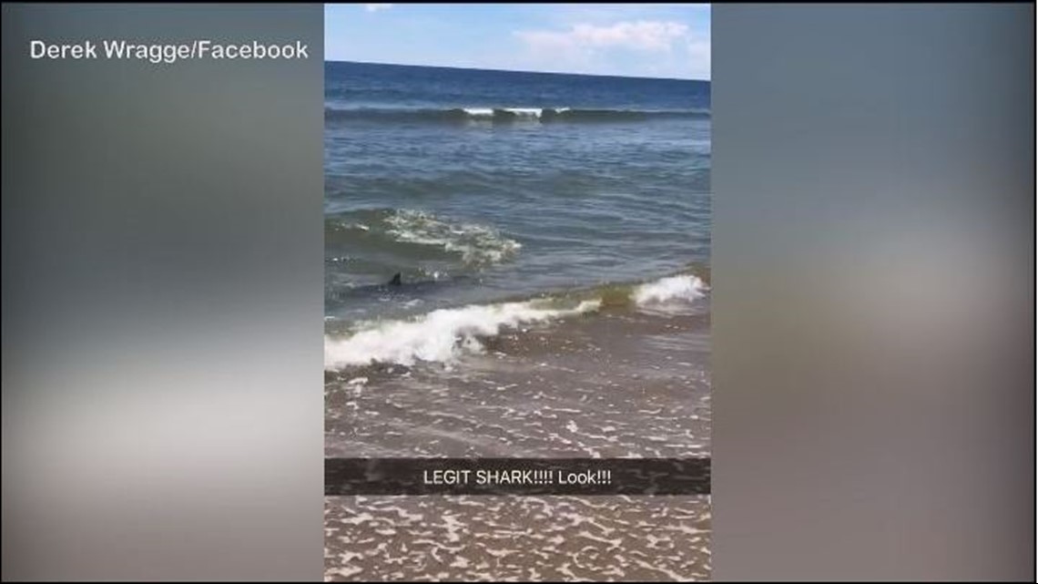 WATCH: Shark spotted thrashing in shallow water on NC beach | wcnc.com