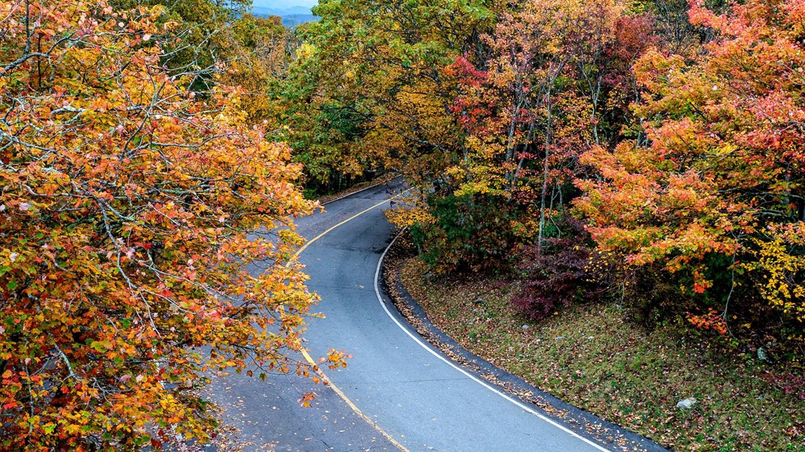 Here's when North Carolina's fall colors are expected to peak | wcnc.com