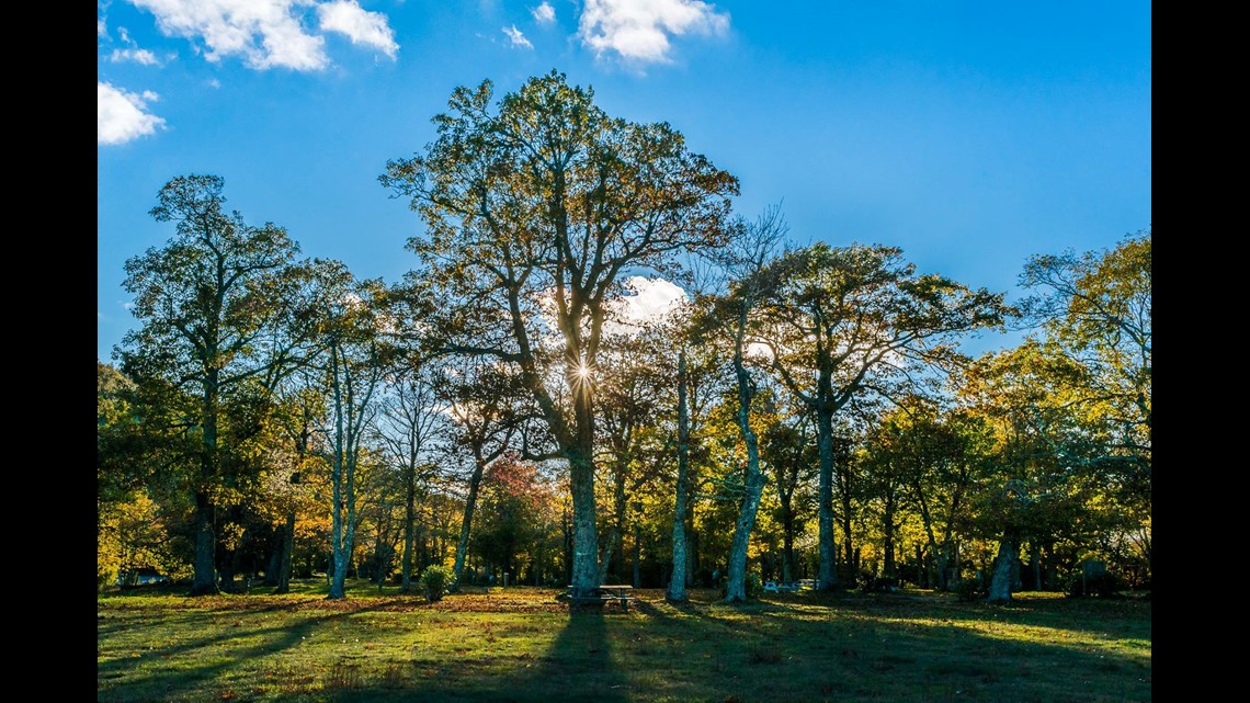 Here's when North Carolina's fall colors are expected to peak | wcnc.com