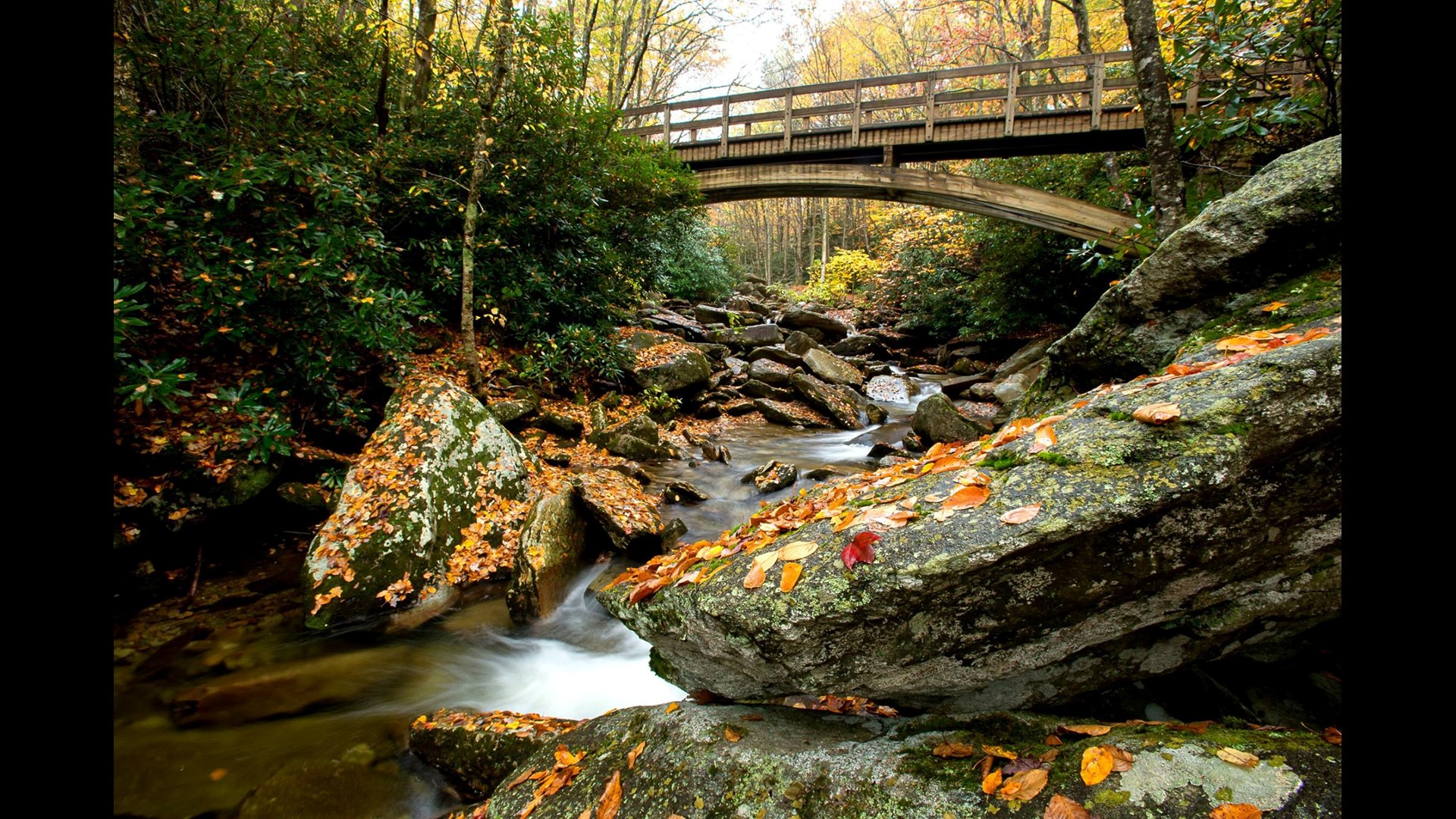 Here's when North Carolina's fall colors are expected to peak | wcnc.com