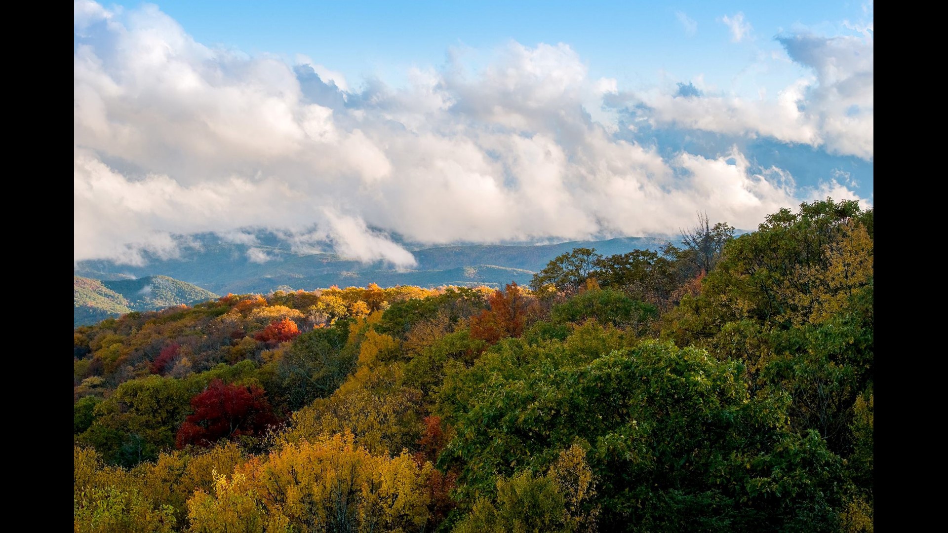 Here's when North Carolina's fall colors are expected to peak | wcnc.com