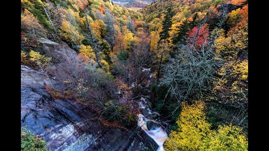 Here's when North Carolina's fall colors are expected to peak | wcnc.com