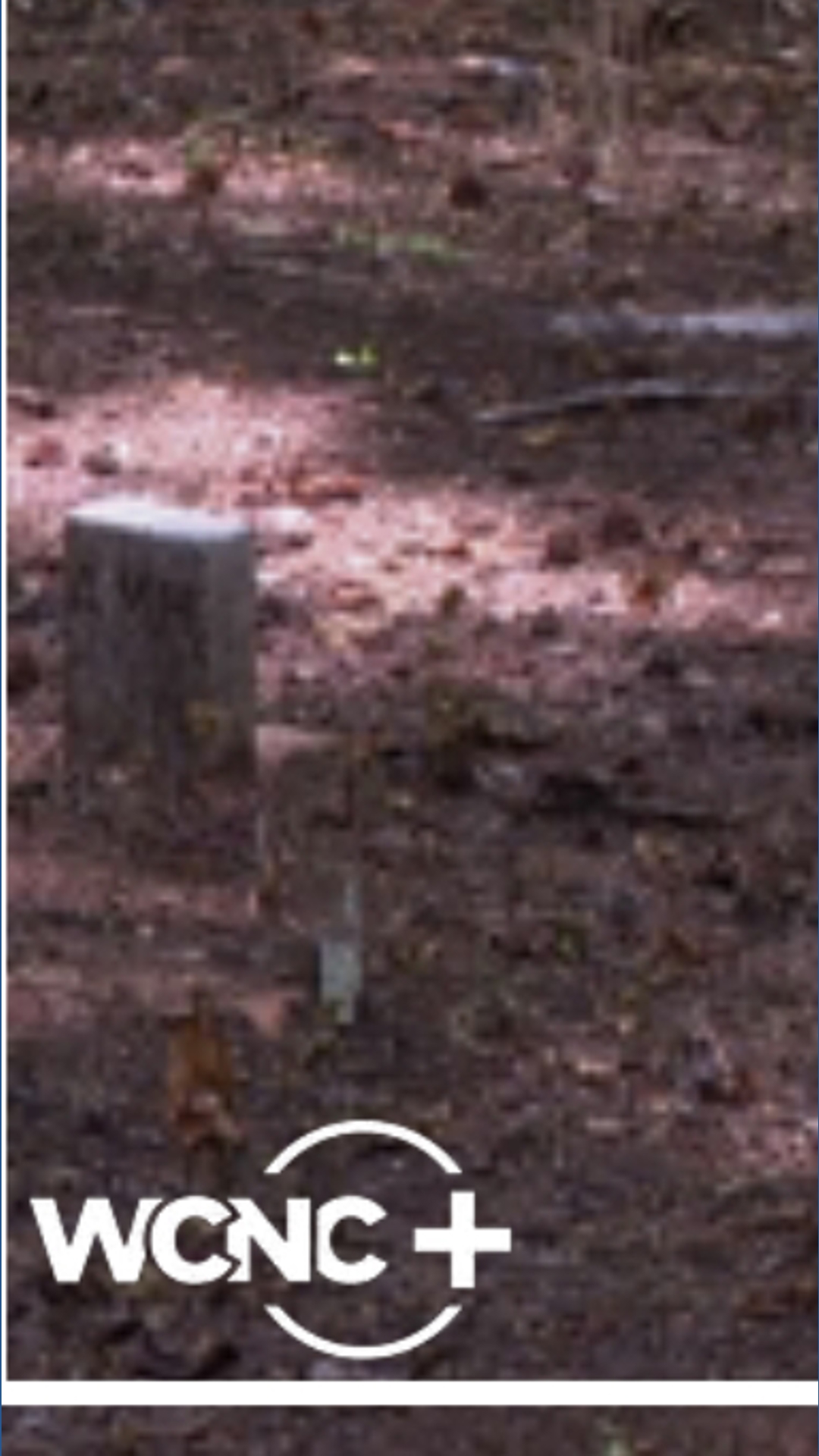 City of Monroe begins relocating graves at Billy Woods Cemetery | wcnc.com