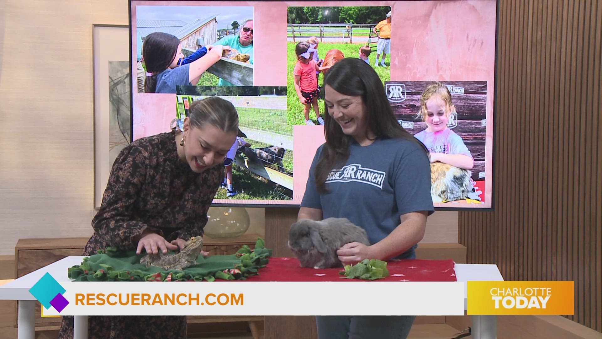 Rescue Ranch Winter Critter Camps | wcnc.com