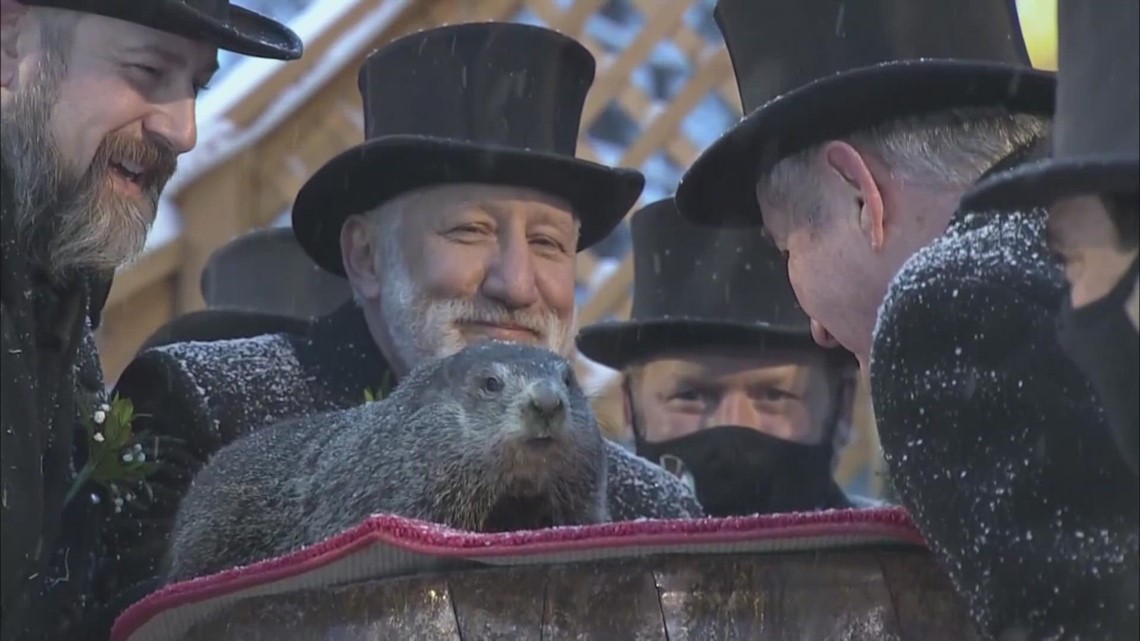 Punxsutawney Phil's accuracy report card | WCNC Charlotte news | wcnc.com