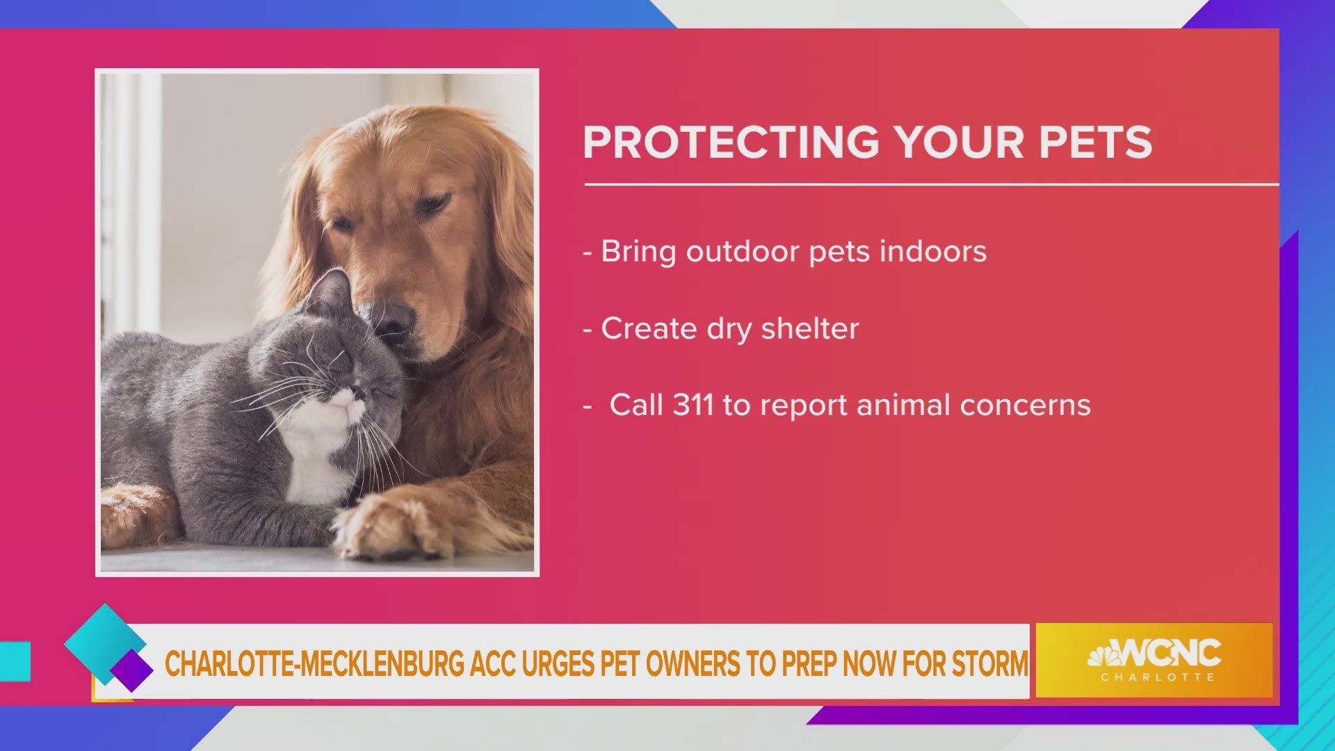 Protect Your Pet as We Prepare for the Storm | wcnc.com