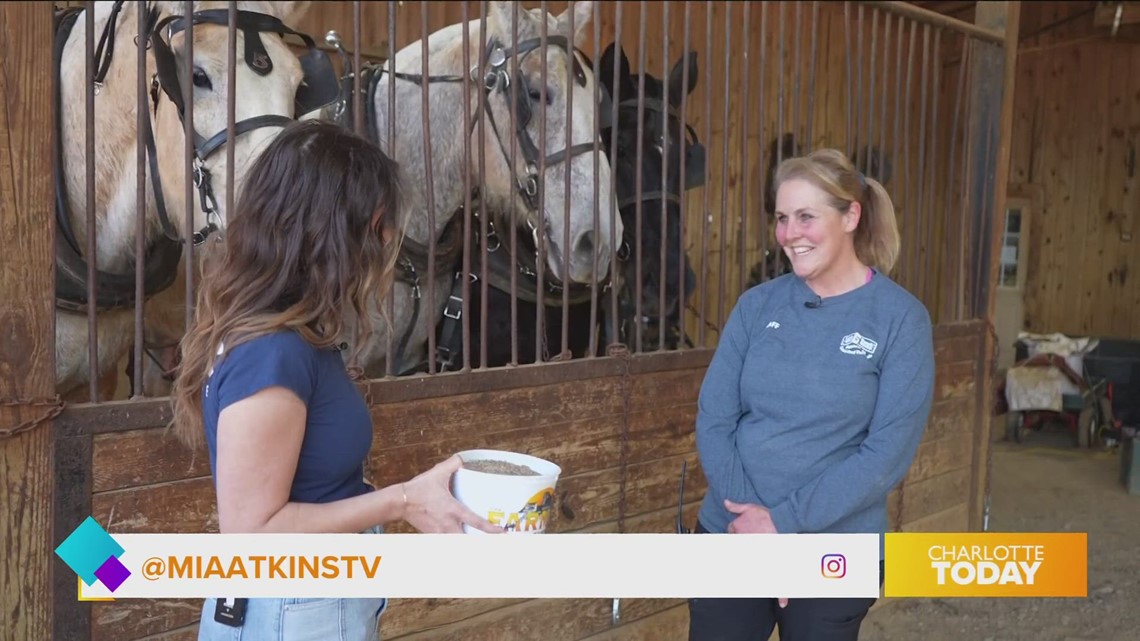 Mia's Big Adventure, Charlotte Today On The Road at The Lazy 5 Ranch ...