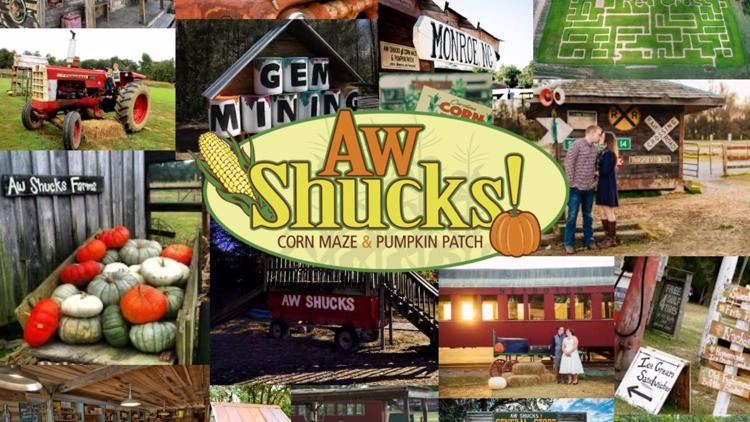 Things to do in Monroe, North Carolina, and Union County | wcnc.com