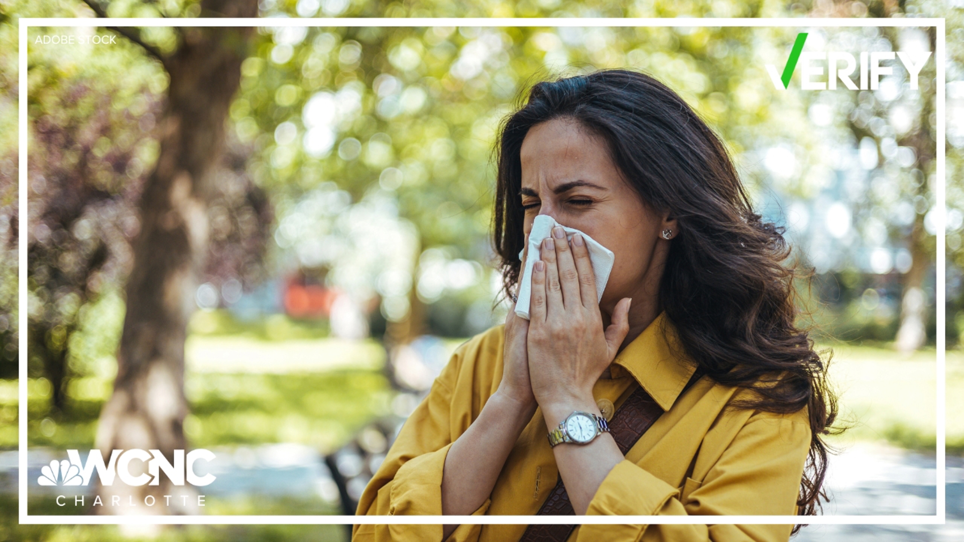 Verifying the truth behind 3 common spring allergy myths | WCNC ...