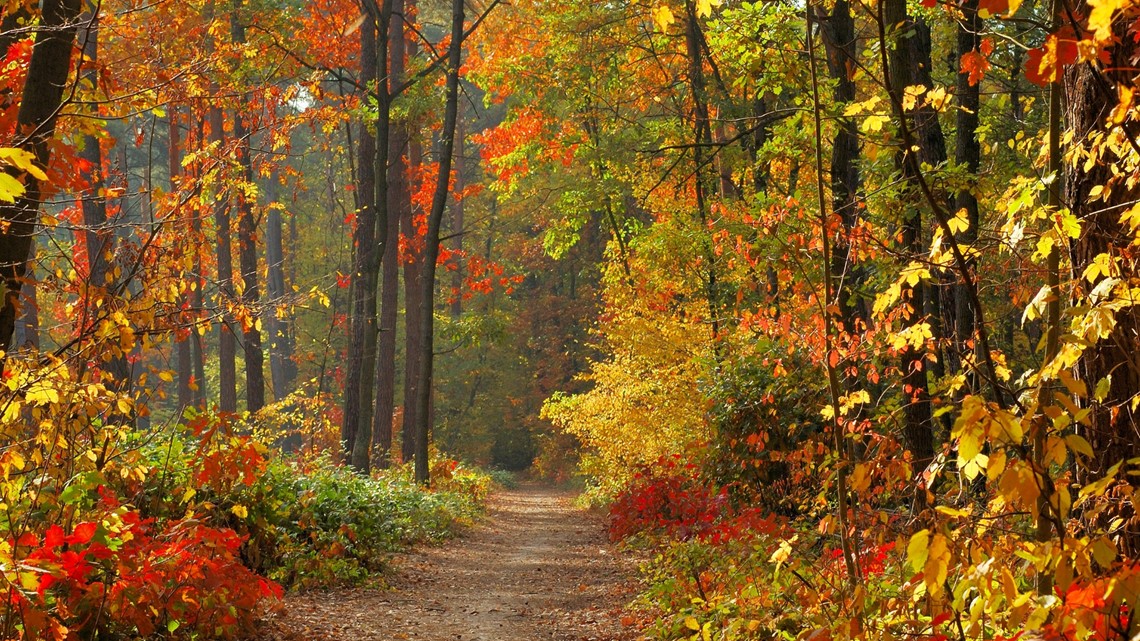 Meteorological fall vs. Astronomical fall | wcnc.com