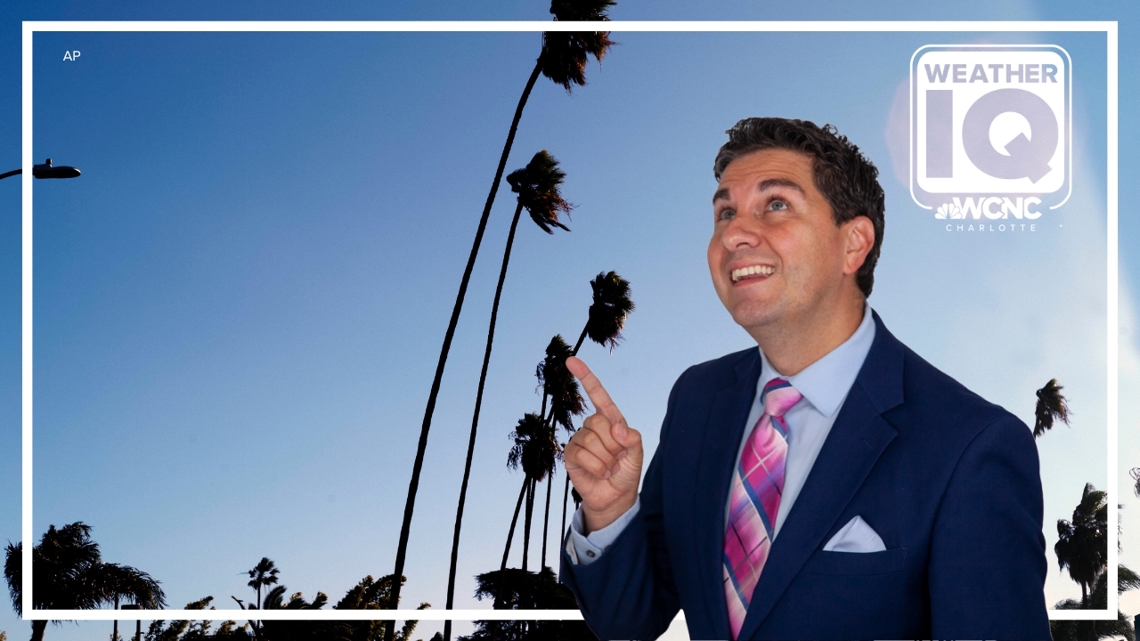 Weather IQ: Santa Ana winds explained | wcnc.com