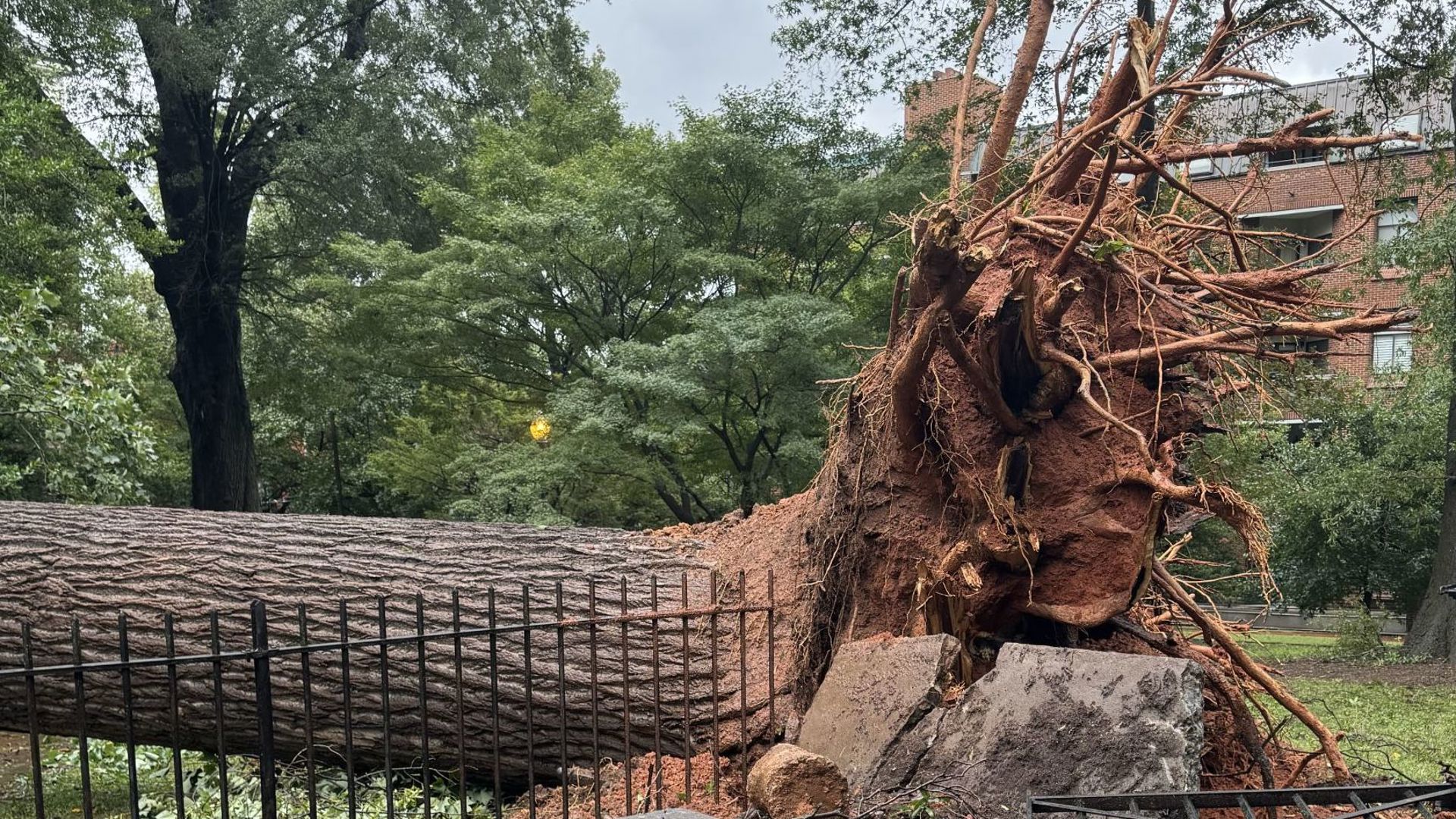 List: Helene storm damage around the Carolinas | wcnc.com