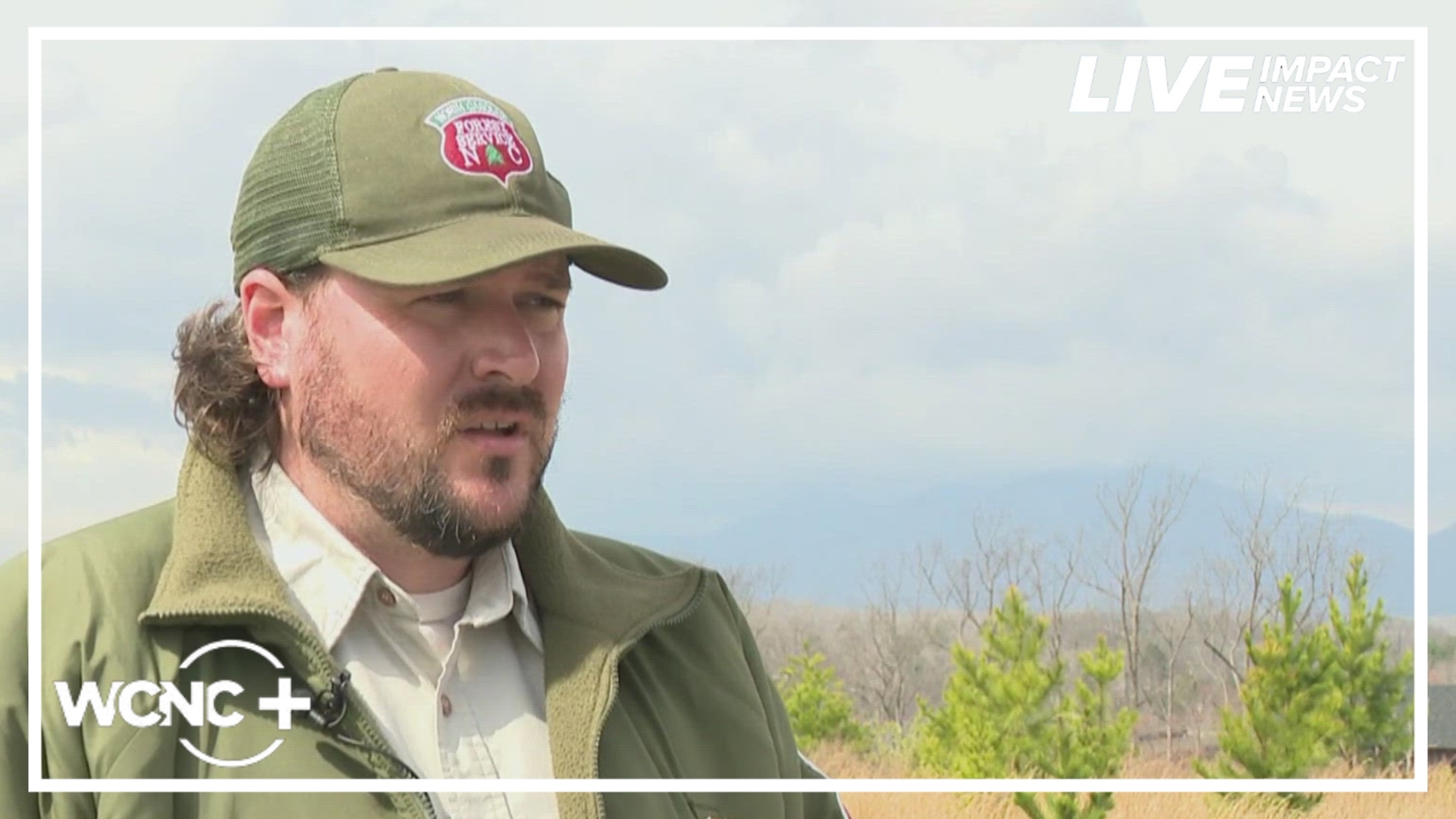 Significant damage across Charlotte area after severe storms | wcnc.com