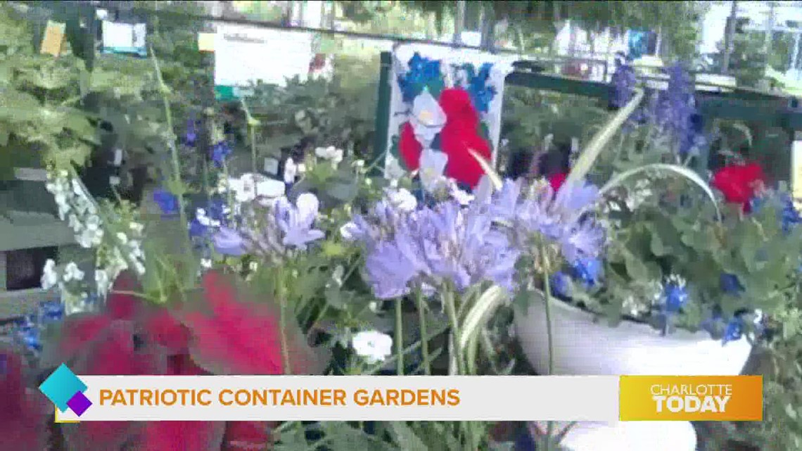 DIY red, white & blue container garden | wcnc.com
