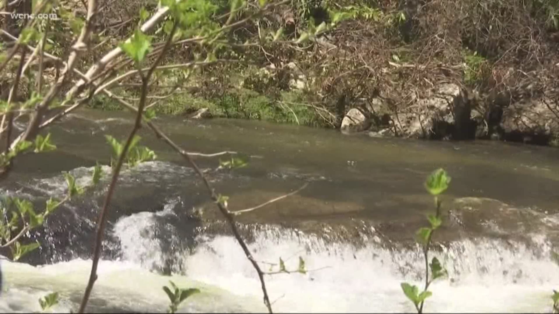 Officials warn of rising water levels in local rivers | wcnc.com